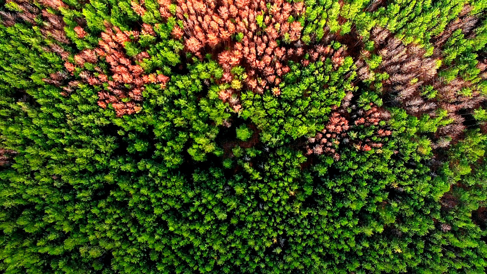 Моя Країна. Надслучанська Швейцарія